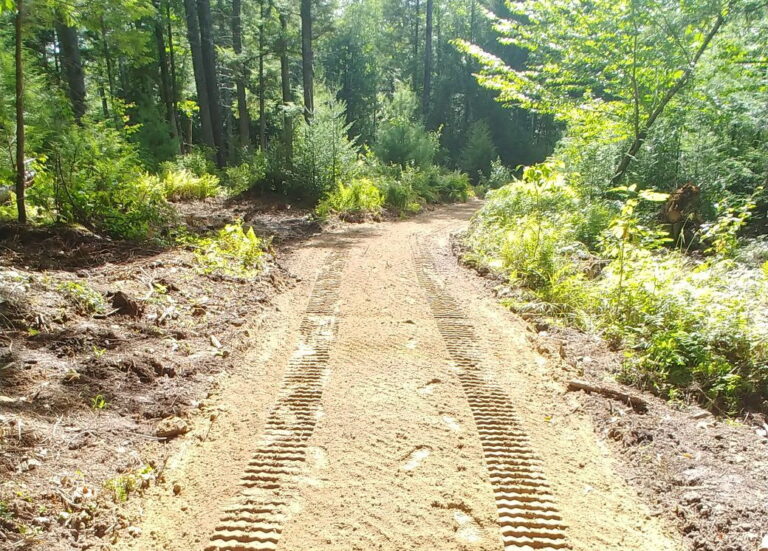 Forest Trail Installation and Design | Eaton Center, NH | Gurney Land Care